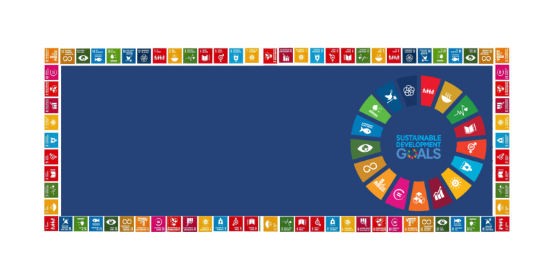 Ashoka Fellows and the Sustainable Development Goal | Ashoka