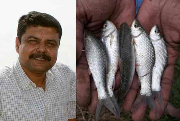 Revolutionising the Fishing Industry | Ashoka